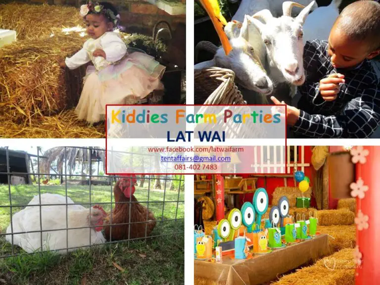 Kids Party Venues in Cape Town – I Heart Kiddies Parties